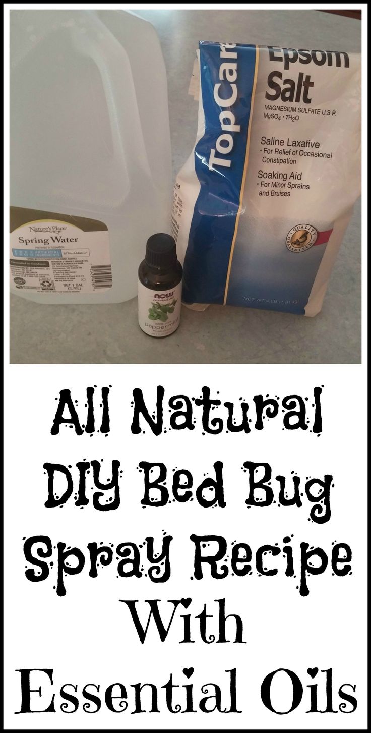 How To Get Rid Of Bed Bugs : 10 Easy DIY Ways - Bed Bugs Sprays